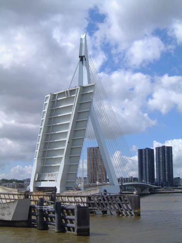 Erasmusbrug, Rotterdam, UN Studio | Architectuurgids