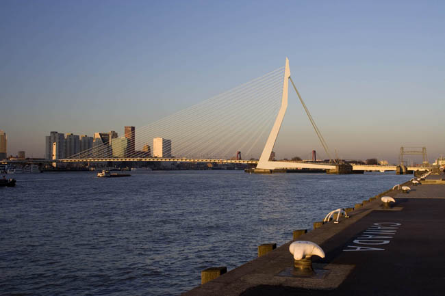 Erasmusbrug, Rotterdam, UN Studio | Architectuurgids
